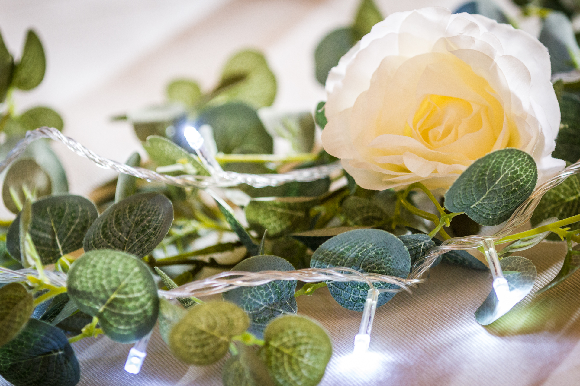 Aerial & Adam | ALBERTO PAGANI